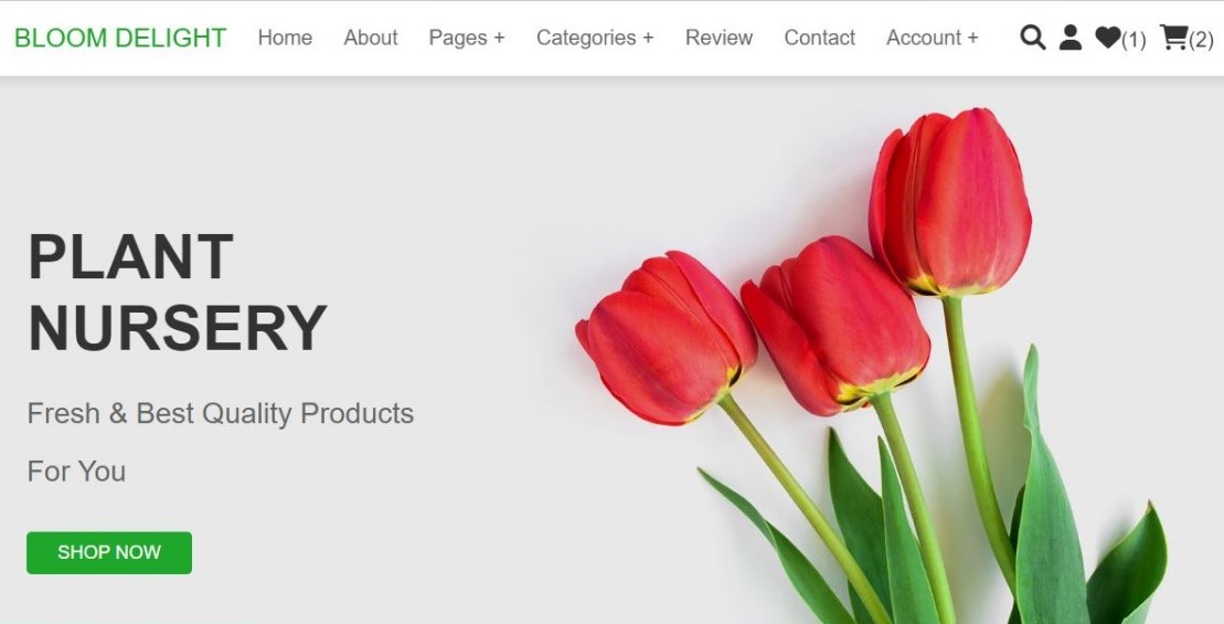 Parami wickramarathna